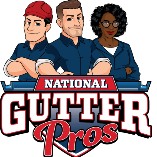 Services | Seamless Gutters | Tampa, FL